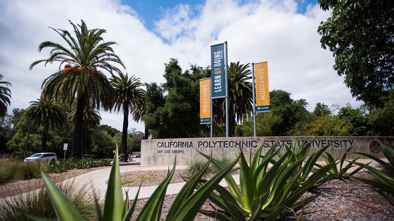 University Divisions | Cal Poly
