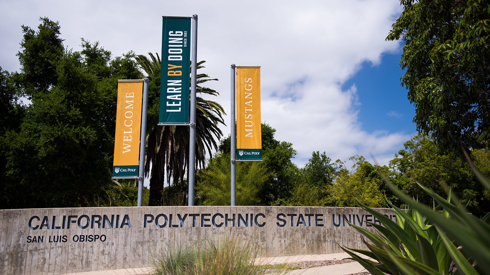 President Armstrong: Fall Quarter Updates and Vaccination Requirements ...